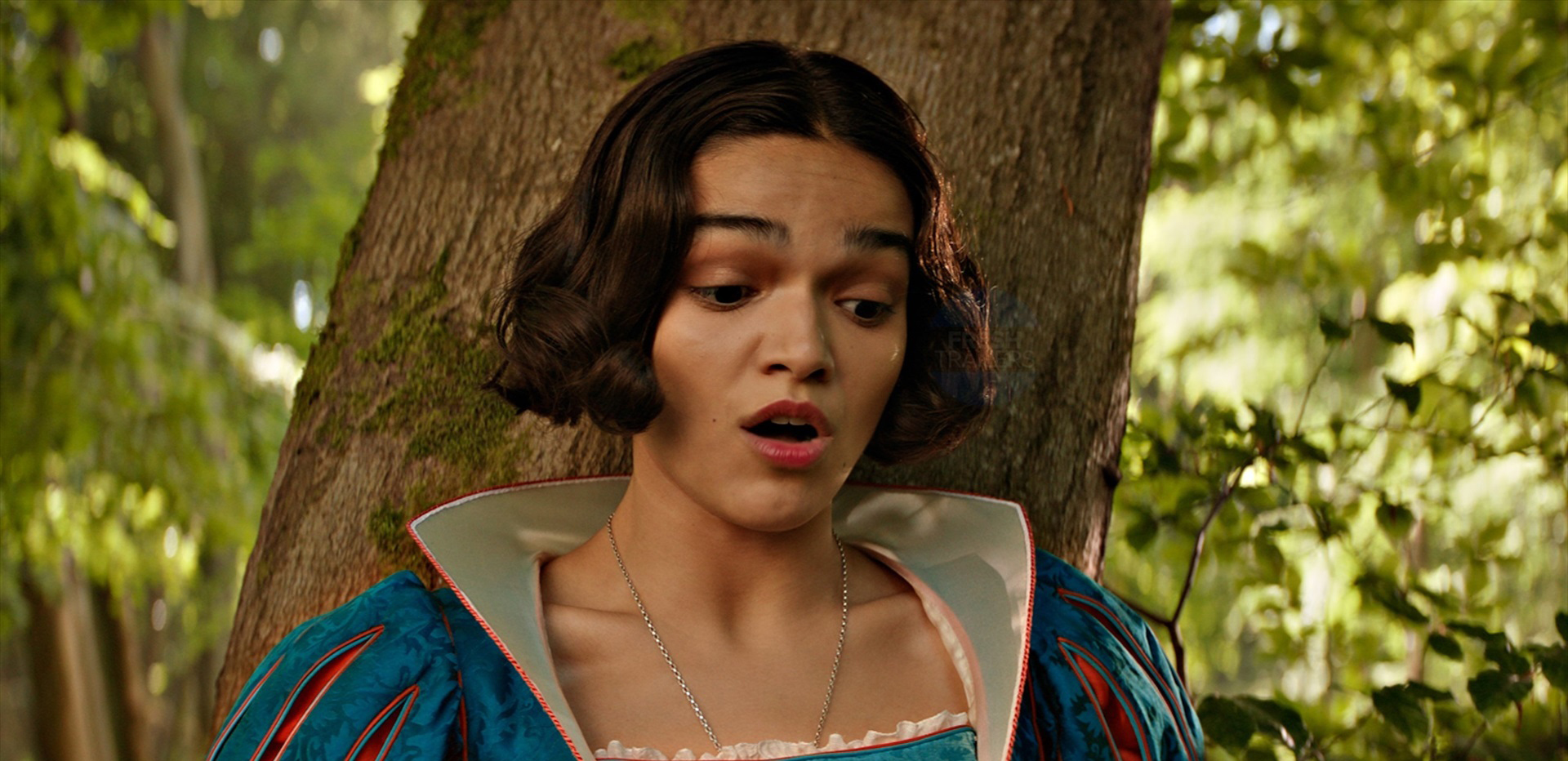 «Mueran los tiranos» – Fundación Disenso